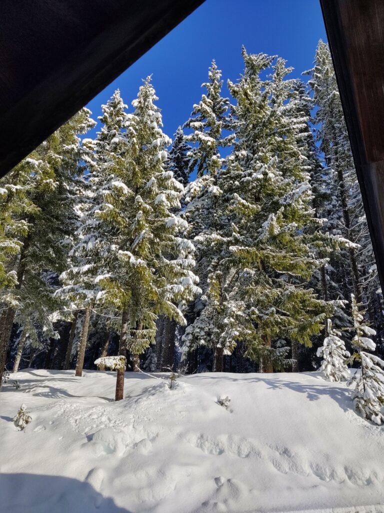 Trollhaugen – Sons of Norway District 2